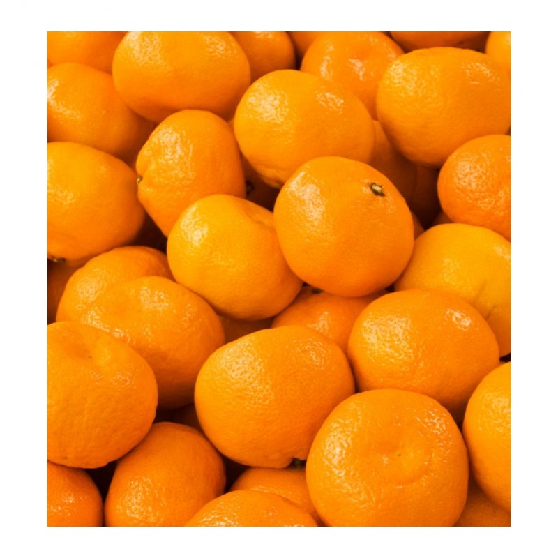 perfume masculino mulher NOTION WOMAN larome paris yodeyma yodema sephora