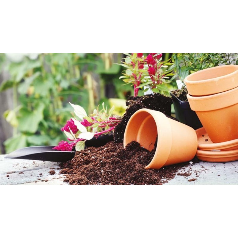 terra vasos orquideas plantas blofer mais barato fertilizante